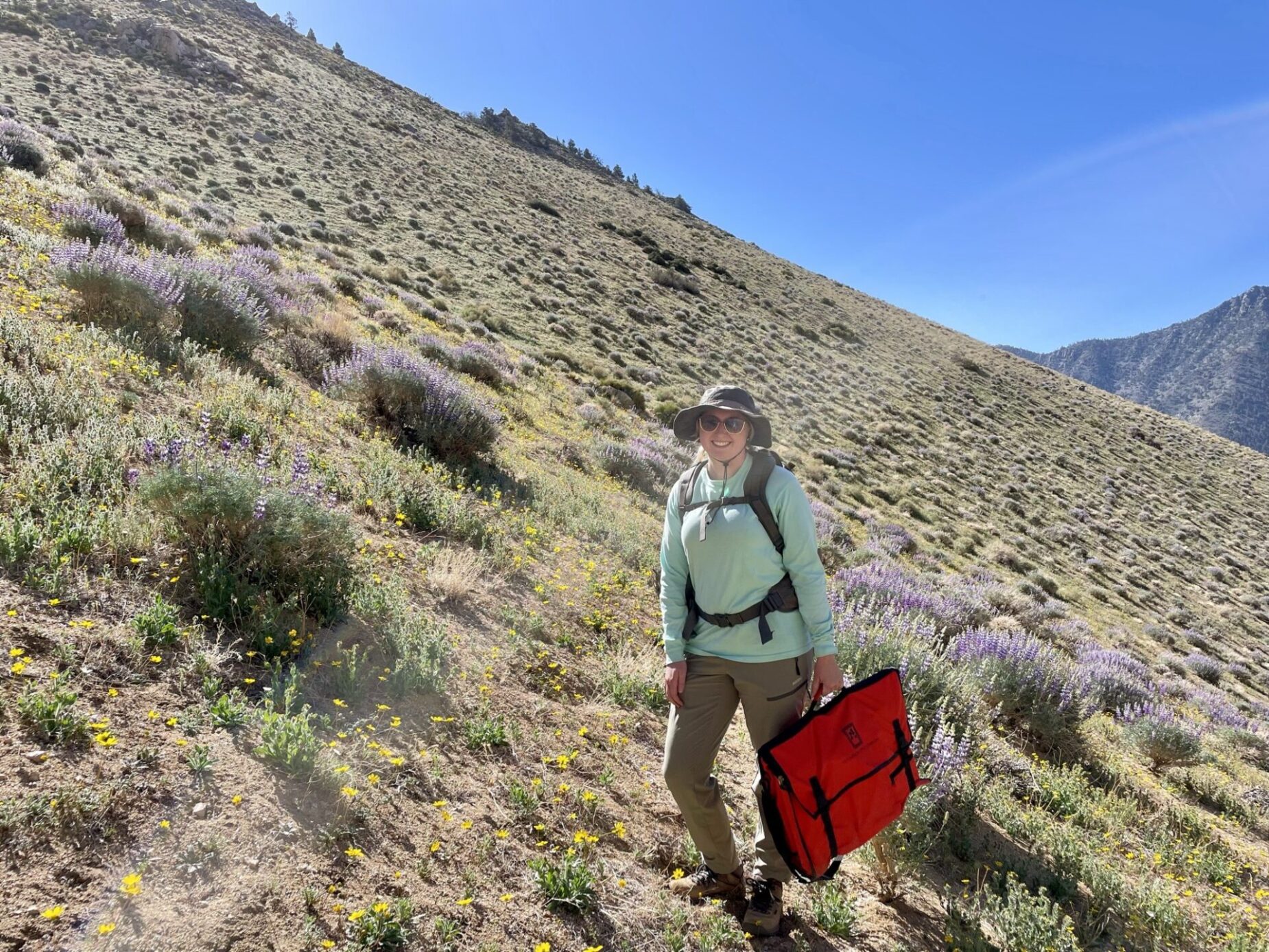 Kim Schaefer- A Vascular Flora of the Sacatar Trail Wilderness ...